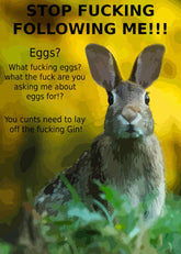 Funny & Rude Easter Cards – Twisted Gifts